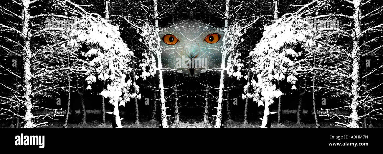 Spirit in the woods hi-res stock photography and images - Alamy