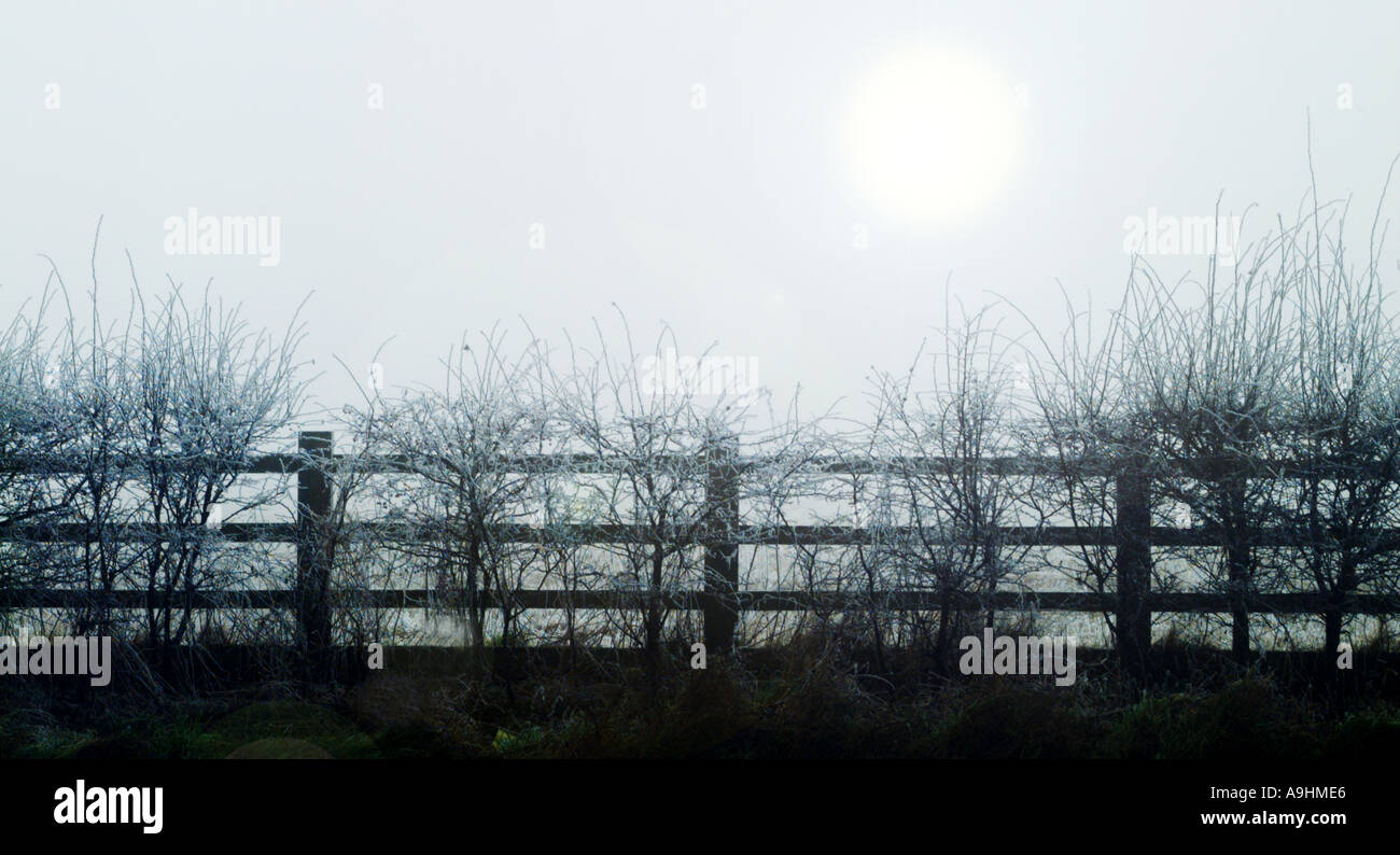 Weak fence hi-res stock photography and images - Alamy