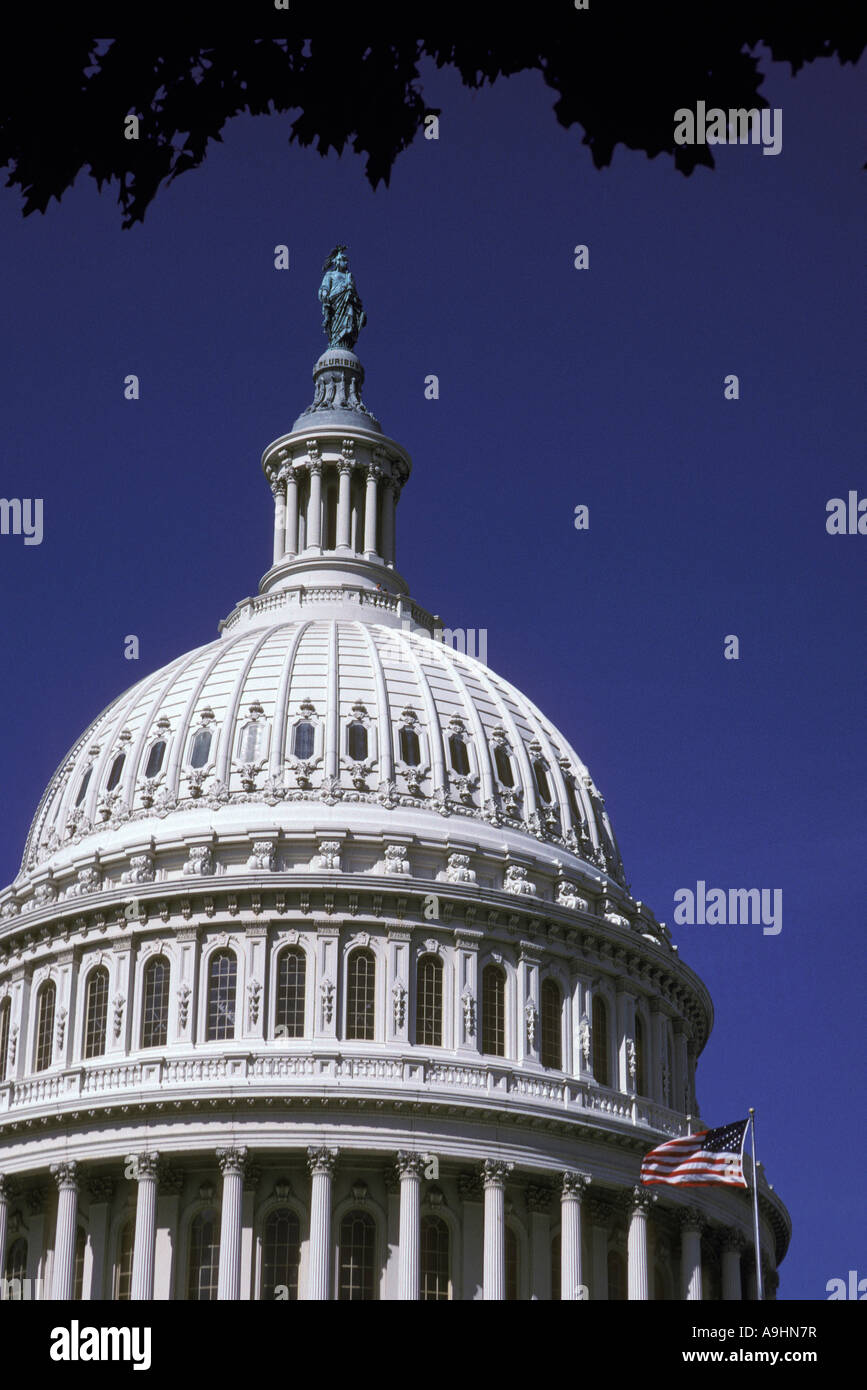 US USA Capitol dome democracy legislative branch columns Senators ...