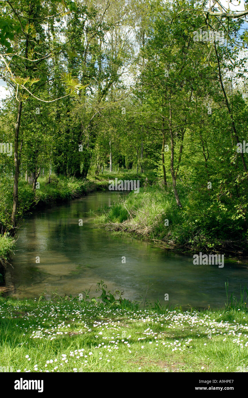 Canche river hi-res stock photography and images - Alamy