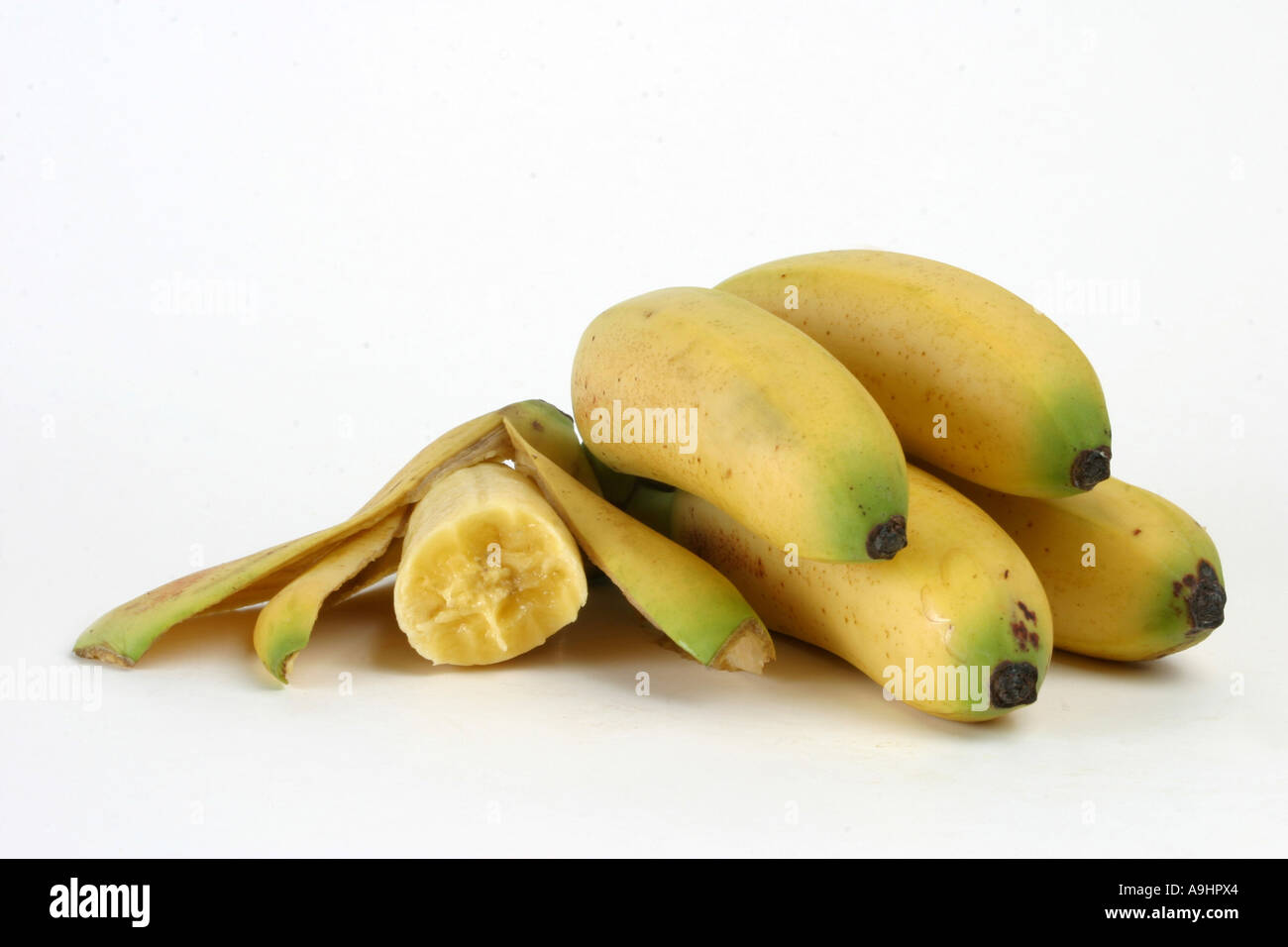 Chinese banana (Musa cavendishii), banana Stock Photo - Alamy