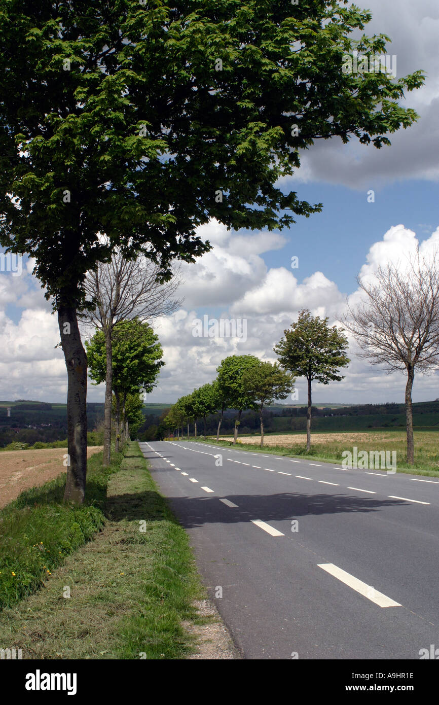 Typical french tree lined road hi-res stock photography and images - Alamy