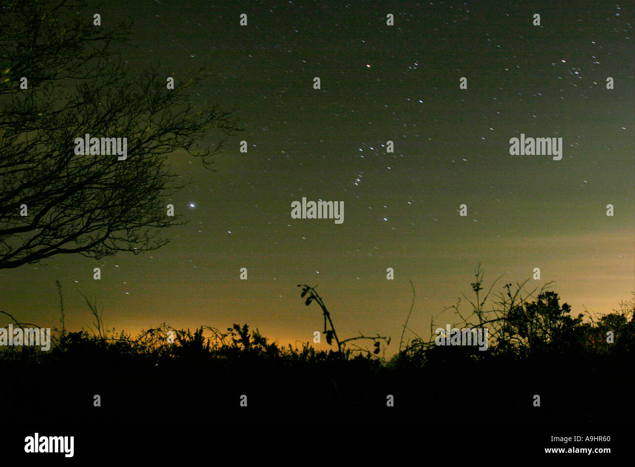 Orion and Canis Major constellations. Northern Hemisphere Stock Photo ...