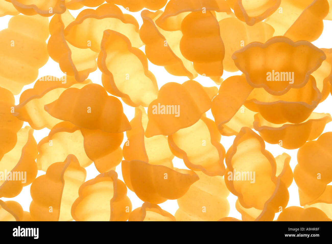 Pasta shapes backlit on white background Stock Photo - Alamy