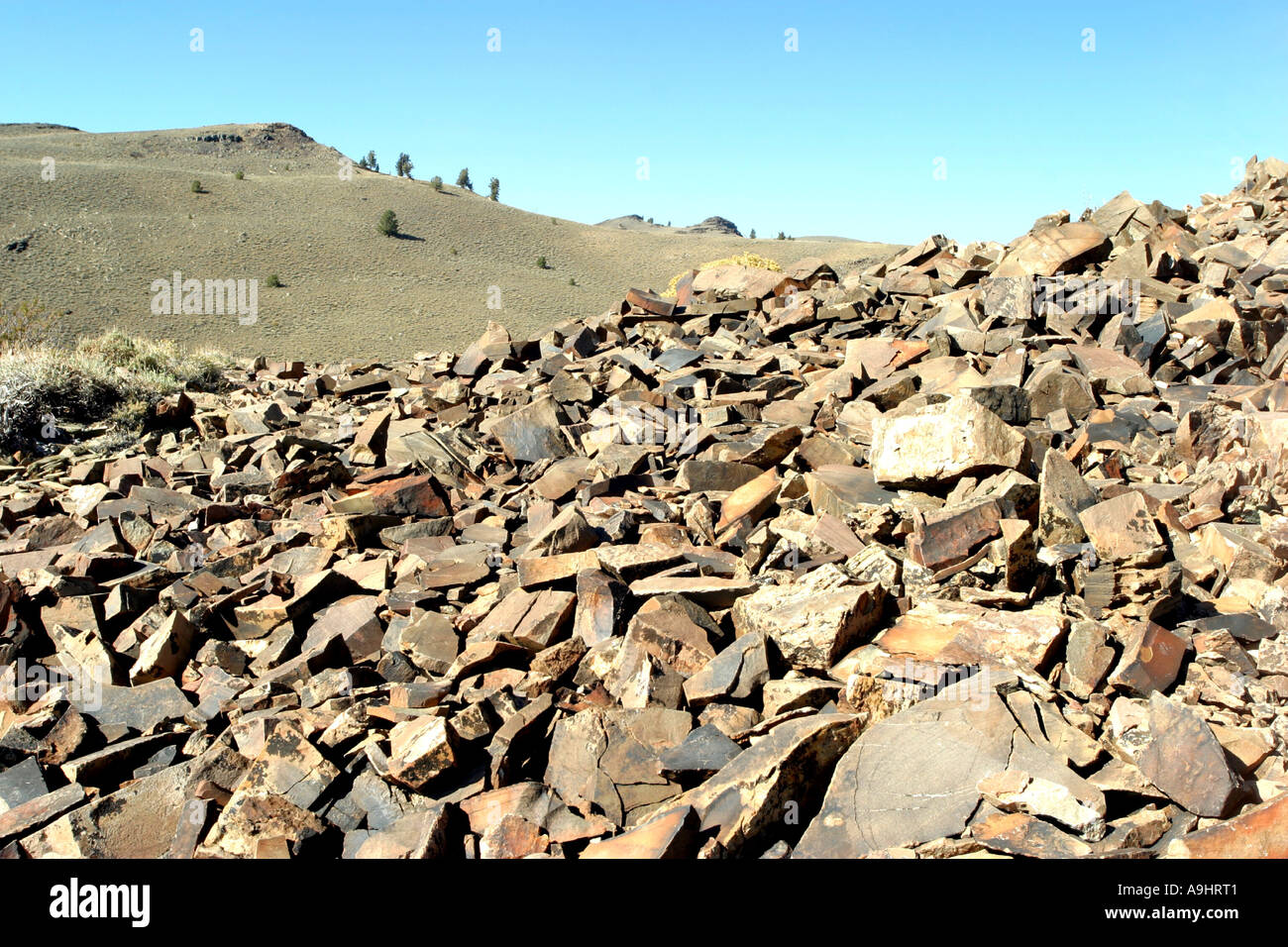 petrified red ocean bottom, USA, California Stock Photo - Alamy