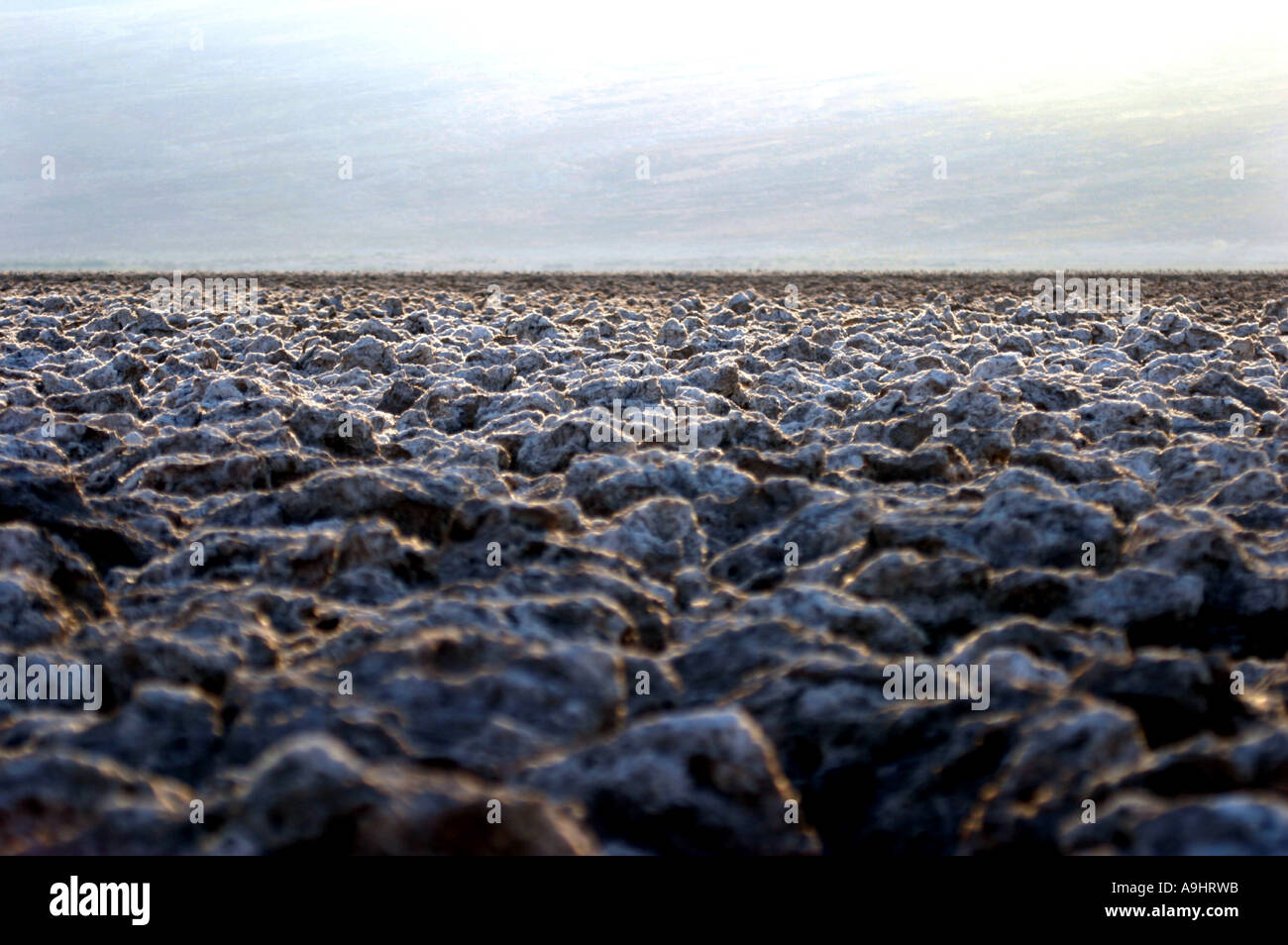 Devils Golf Course. Bizarre Salt formation in Death Valley, with 86m ...