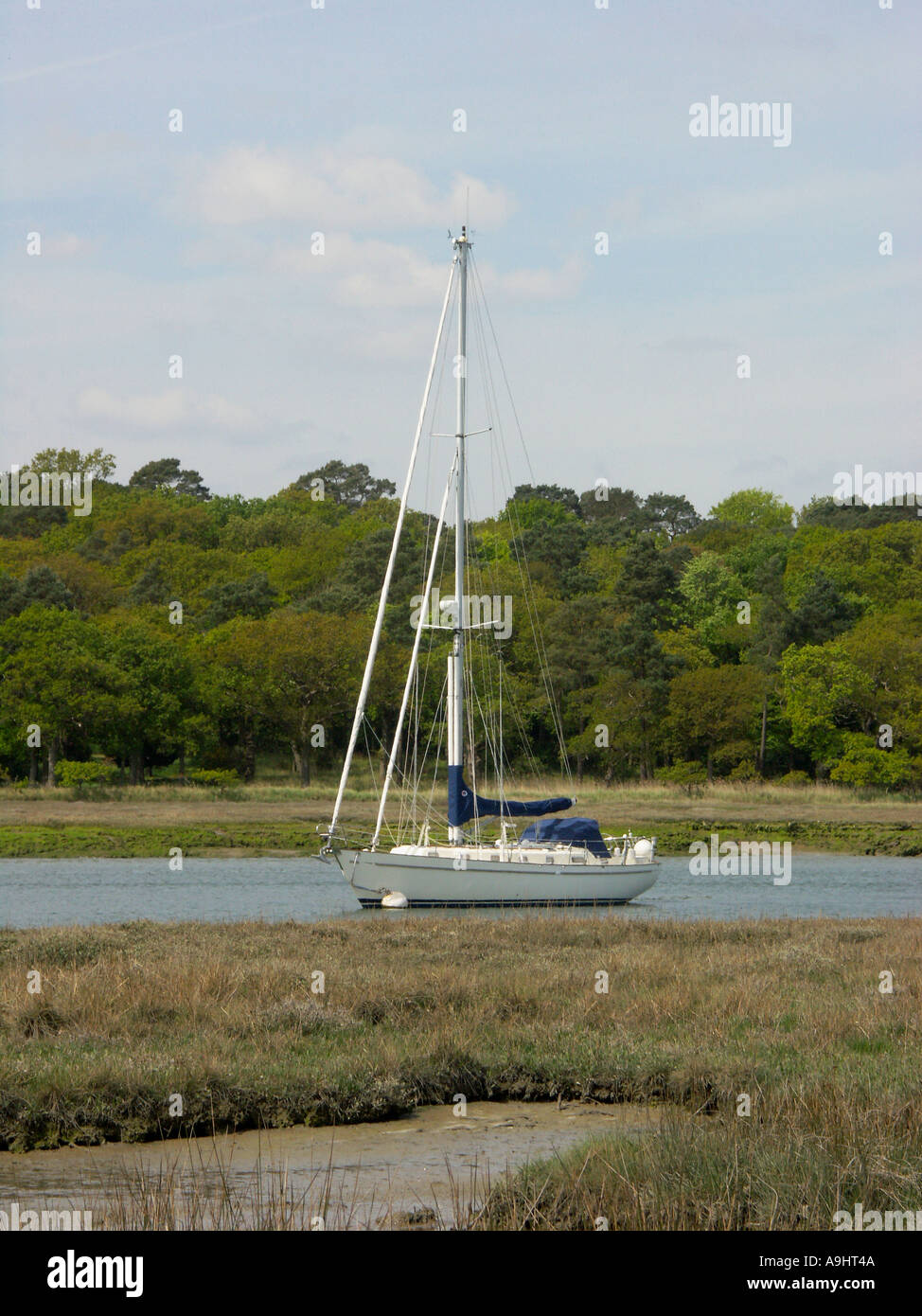The Beaulieu River Exbury New Forest Hampshire England Stock Photo - Alamy