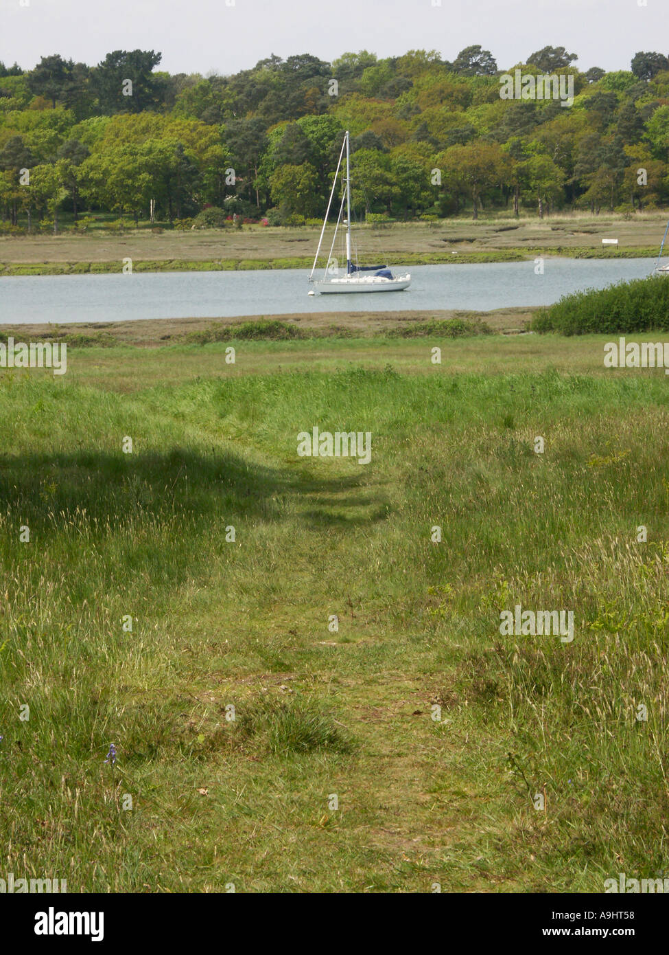 The Beaulieu River Exbury New Forest Hampshire England Stock Photo - Alamy