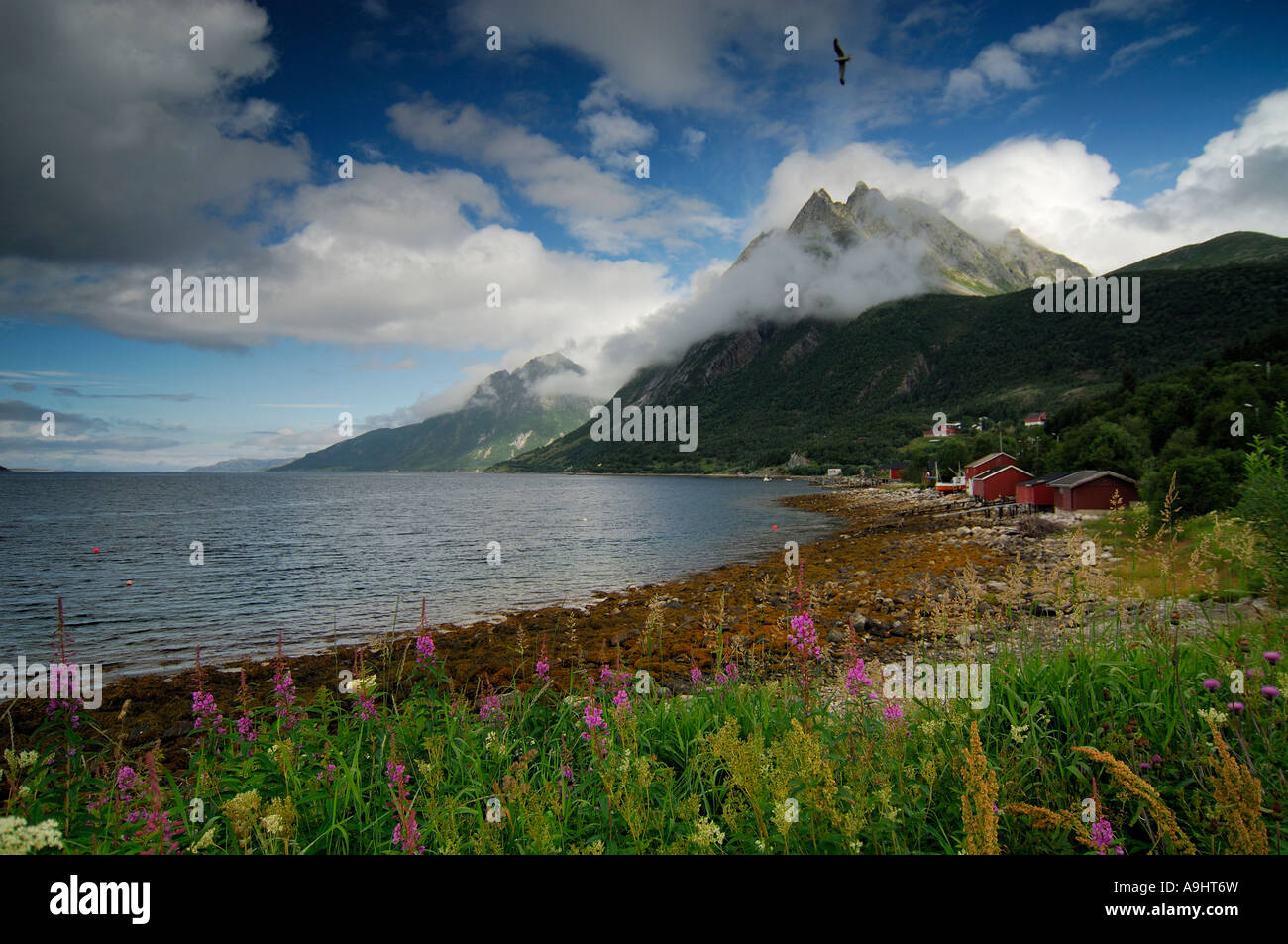 Coast landscape, Norway Stock Photo - Alamy