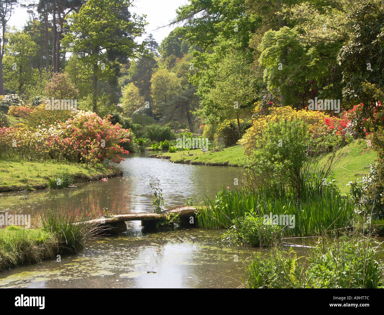 Leonardslee Lakes and Gardens Lower Beeding Nr Horsham West Sussex ...