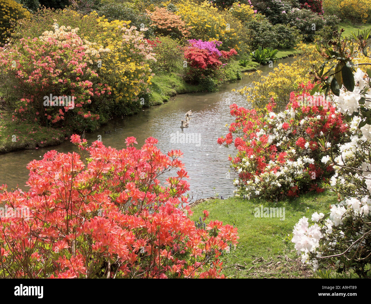 Leonardslee Lakes and Gardens Lower Beeding Nr Horsham West Sussex ...