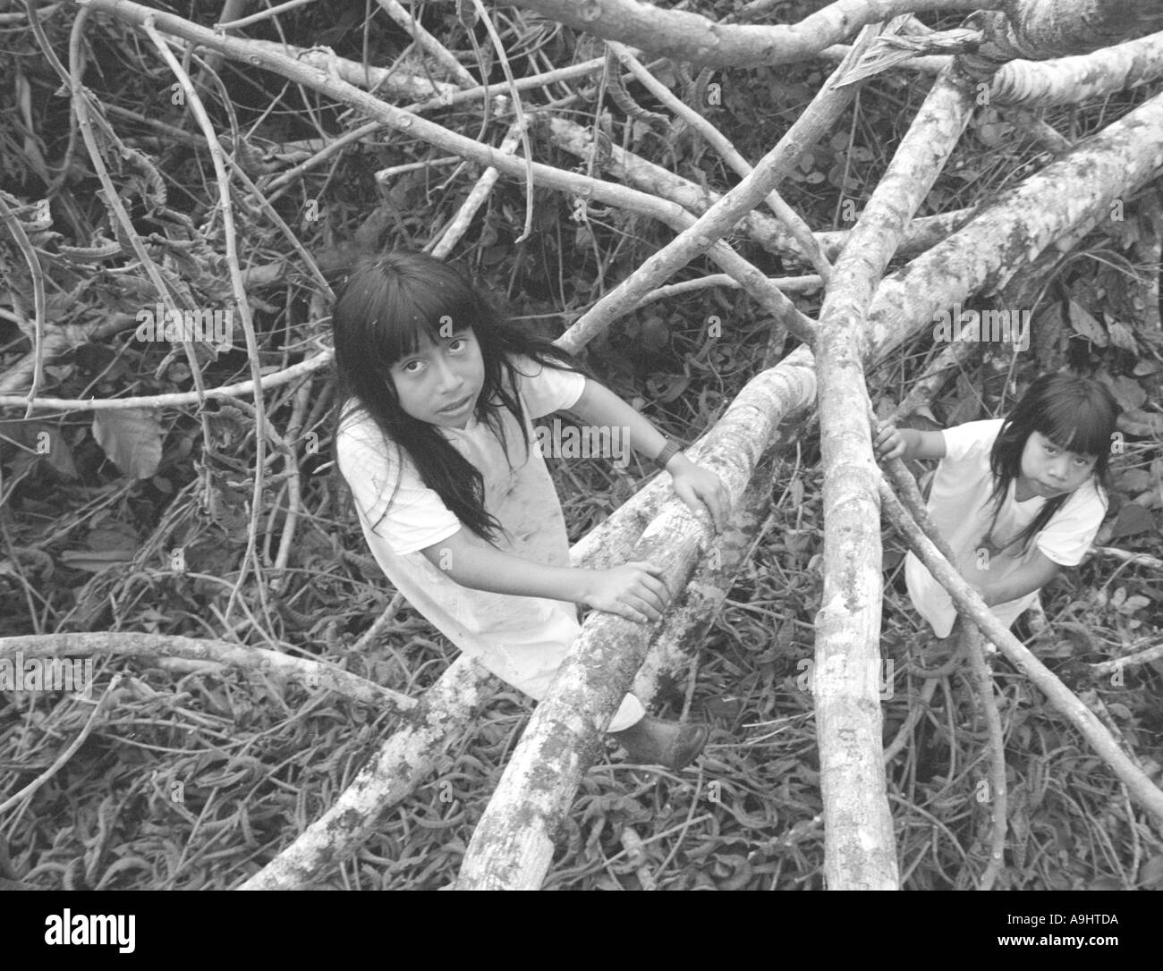 Mexico, Chiapas, Metzabok, Selva Lacandona, North America. Lacandon ...