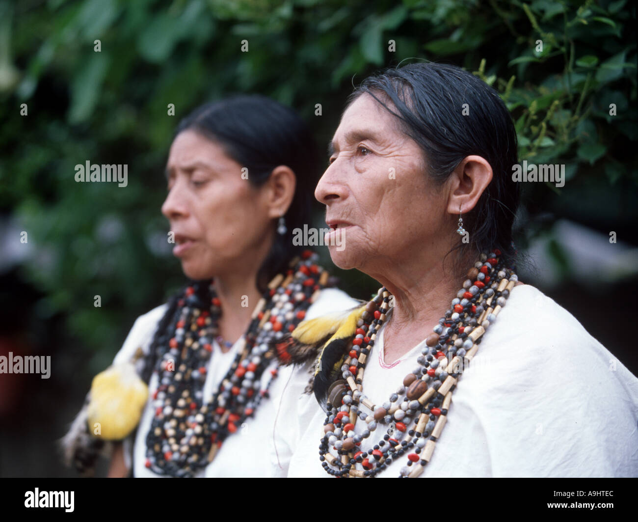 Naha chiapas hi-res stock photography and images - Alamy