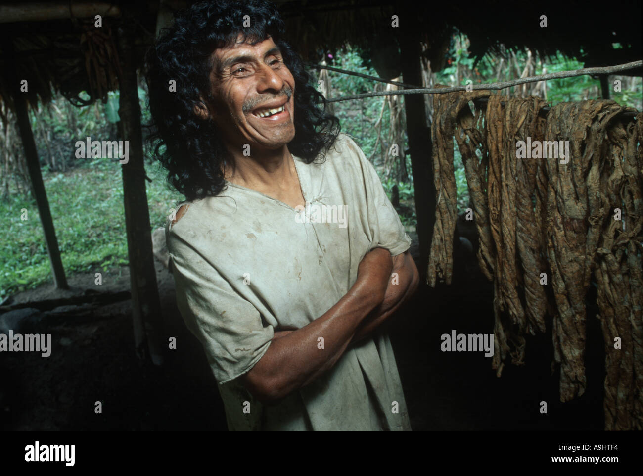 North America, Mexico, Chiapas, Naha, Selva Lacandona. The last ...