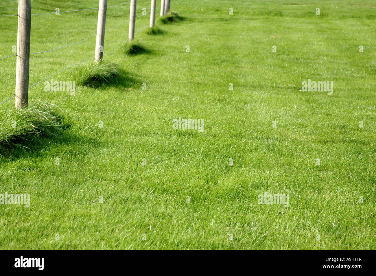 pasture with fence Stock Photo - Alamy