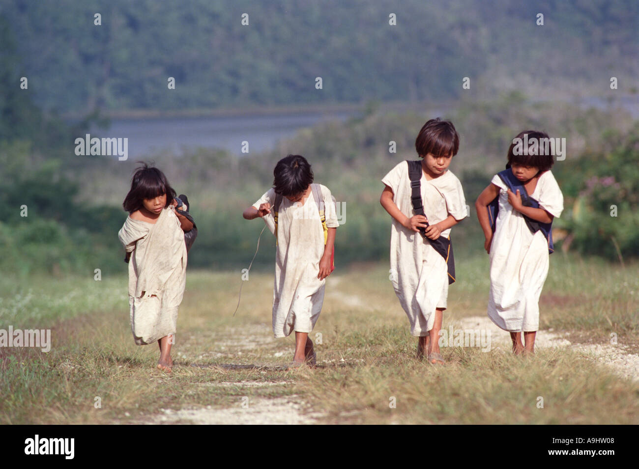 Lacandon indian hi-res stock photography and images - Alamy