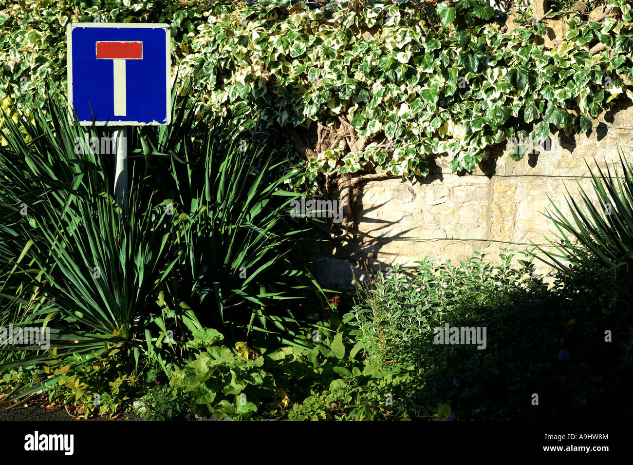 Dead end road sign Britain UK Stock Photo - Alamy