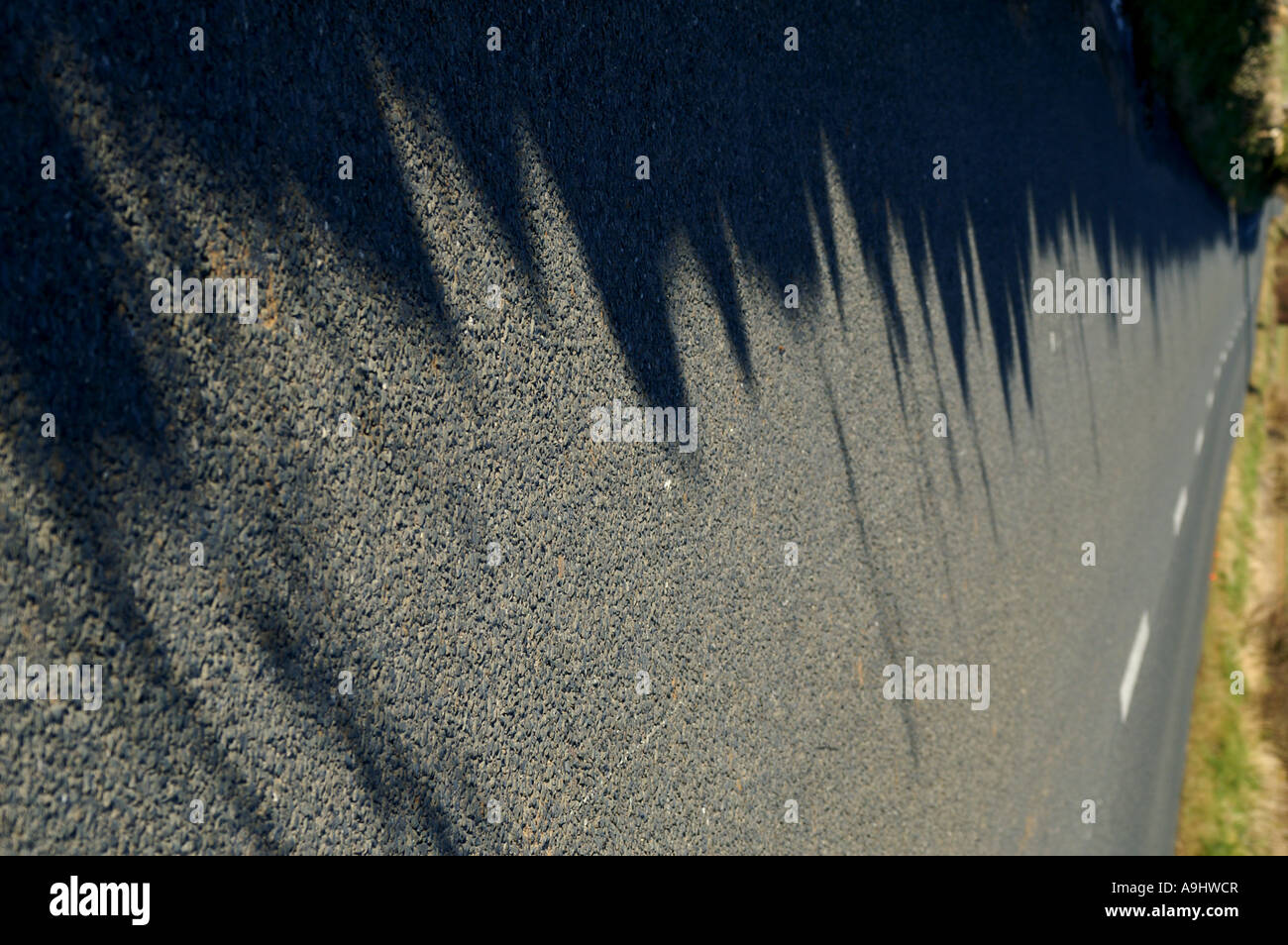 pointed shadows on tarmac Stock Photo - Alamy