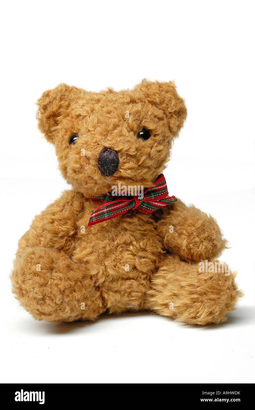 Closeup teddy Cut Out Stock Images & Pictures - Alamy