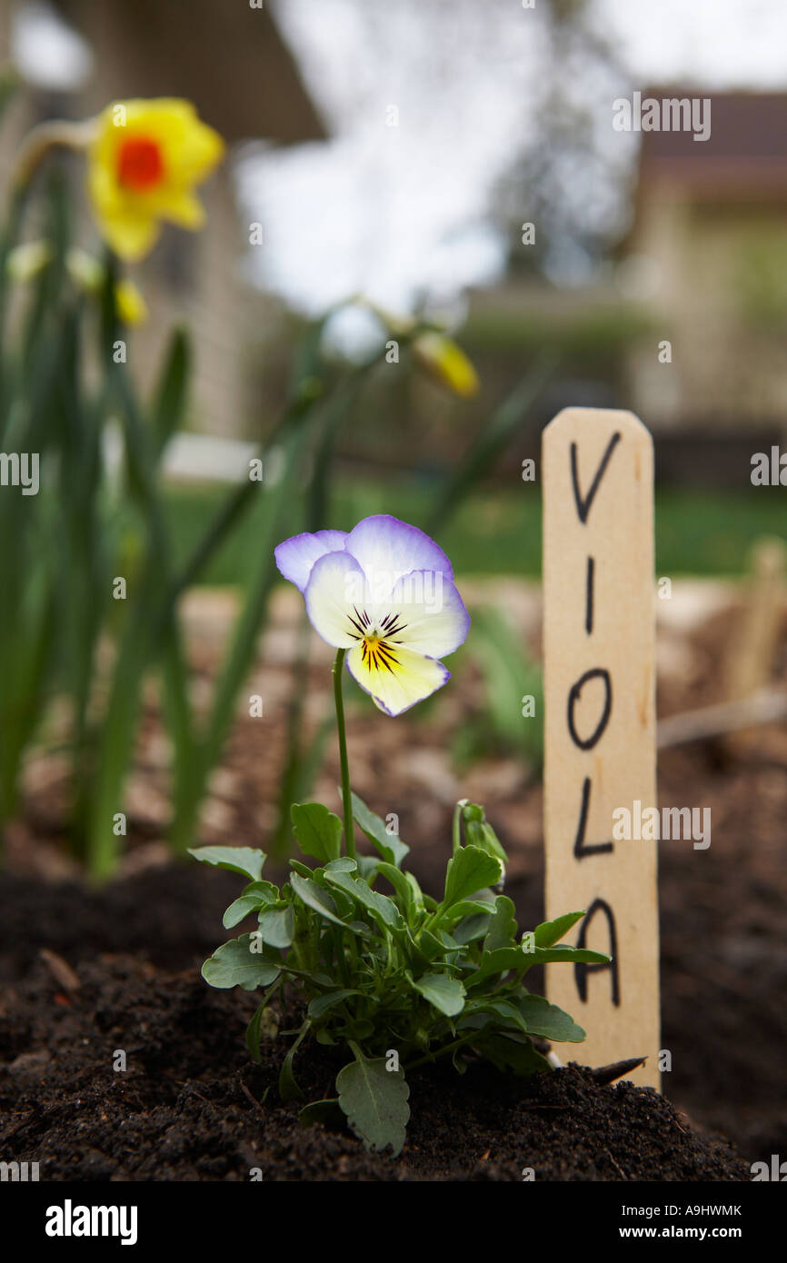 Plant labels hi-res stock photography and images - Alamy