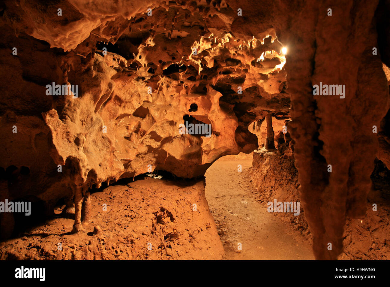 Limestone Caves at Florida Caverns State Park, Marianna, Panhandle ...