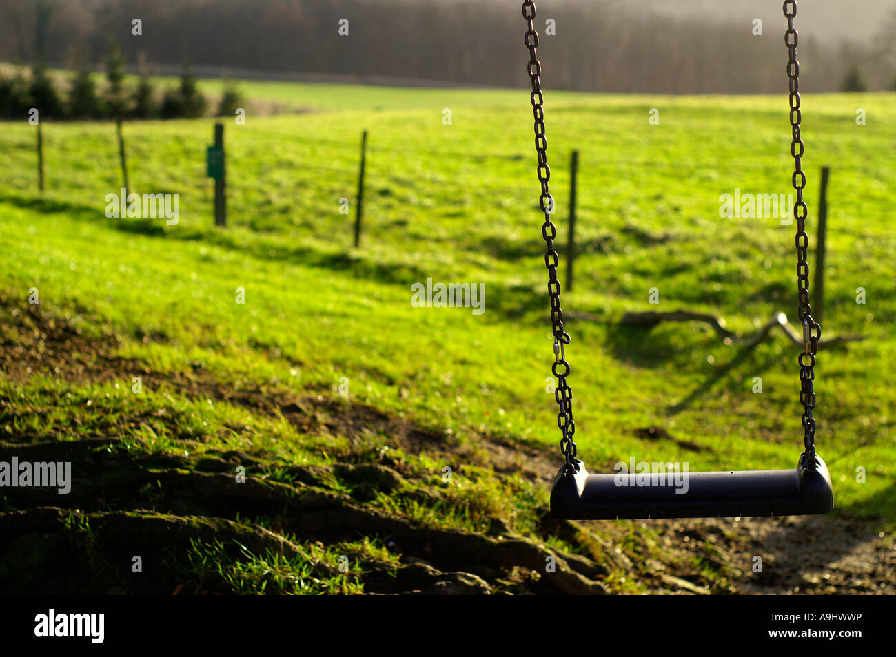 Empty swing in the end of forest, over the meadow Stock Photo - Alamy