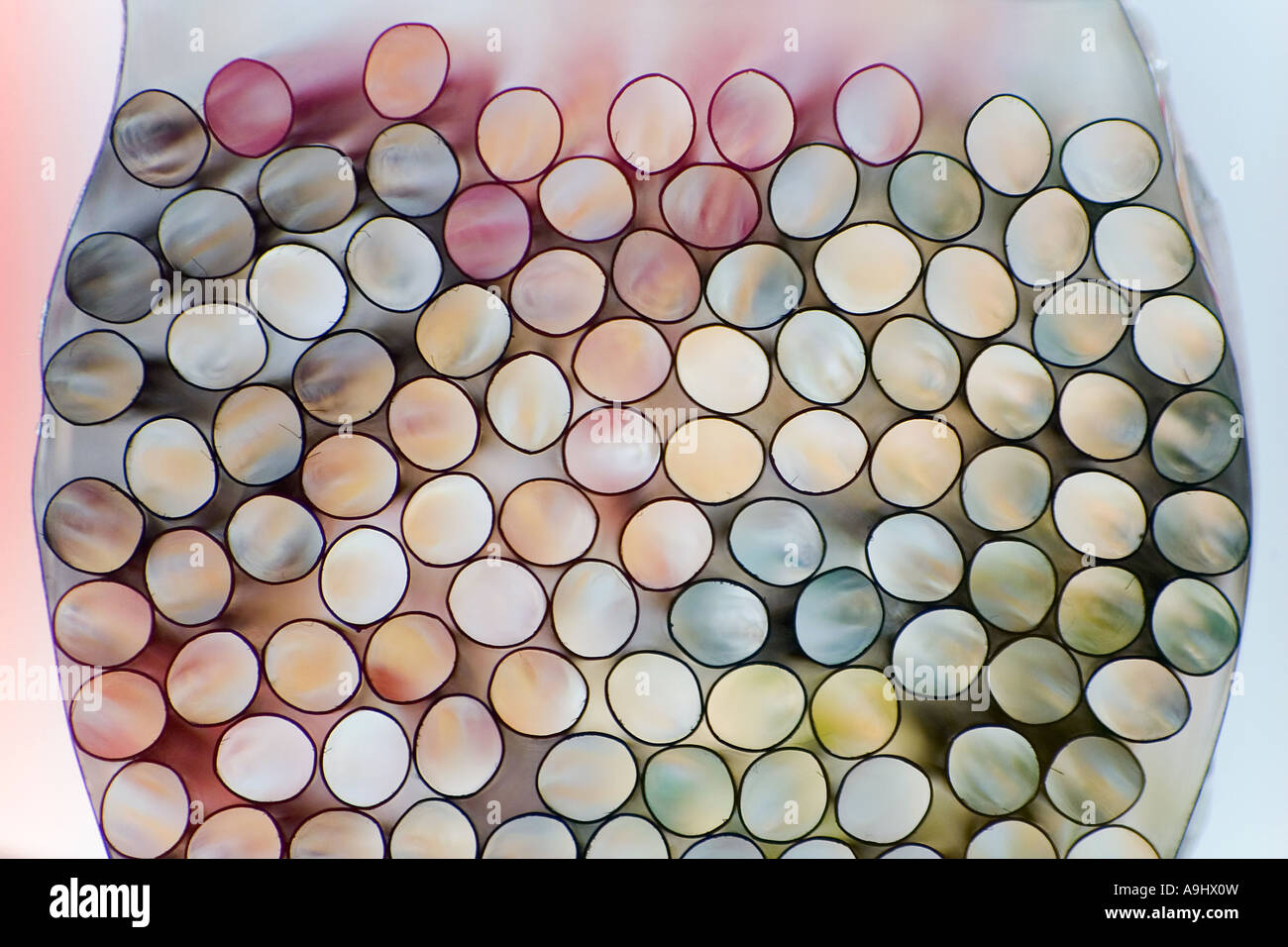 Straw apertures with plastic coating Stock Photo - Alamy