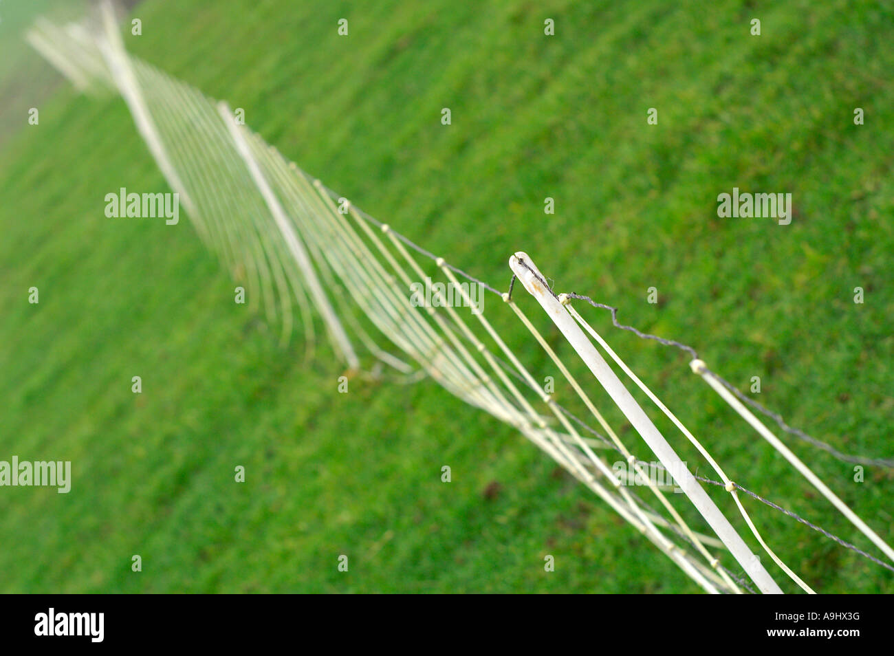 Electric fence on pasture Stock Photo - Alamy