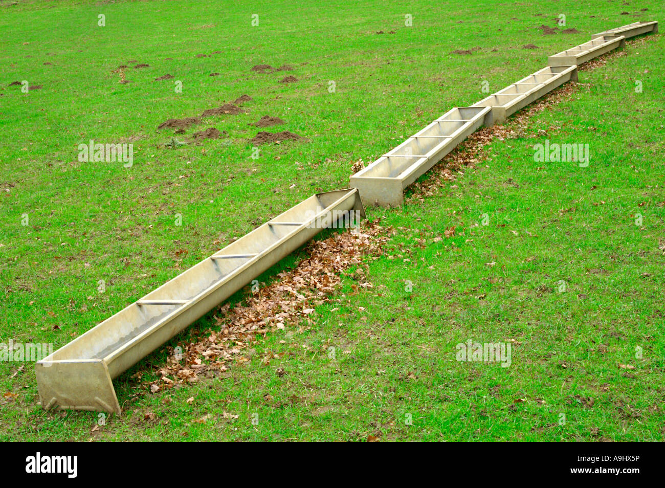 trough on the field Stock Photo - Alamy