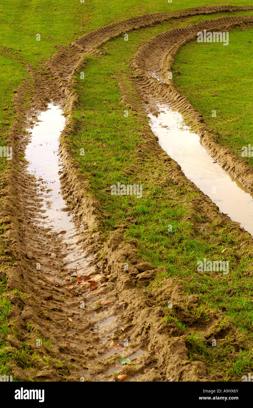 puddle in the rut Stock Photo - Alamy