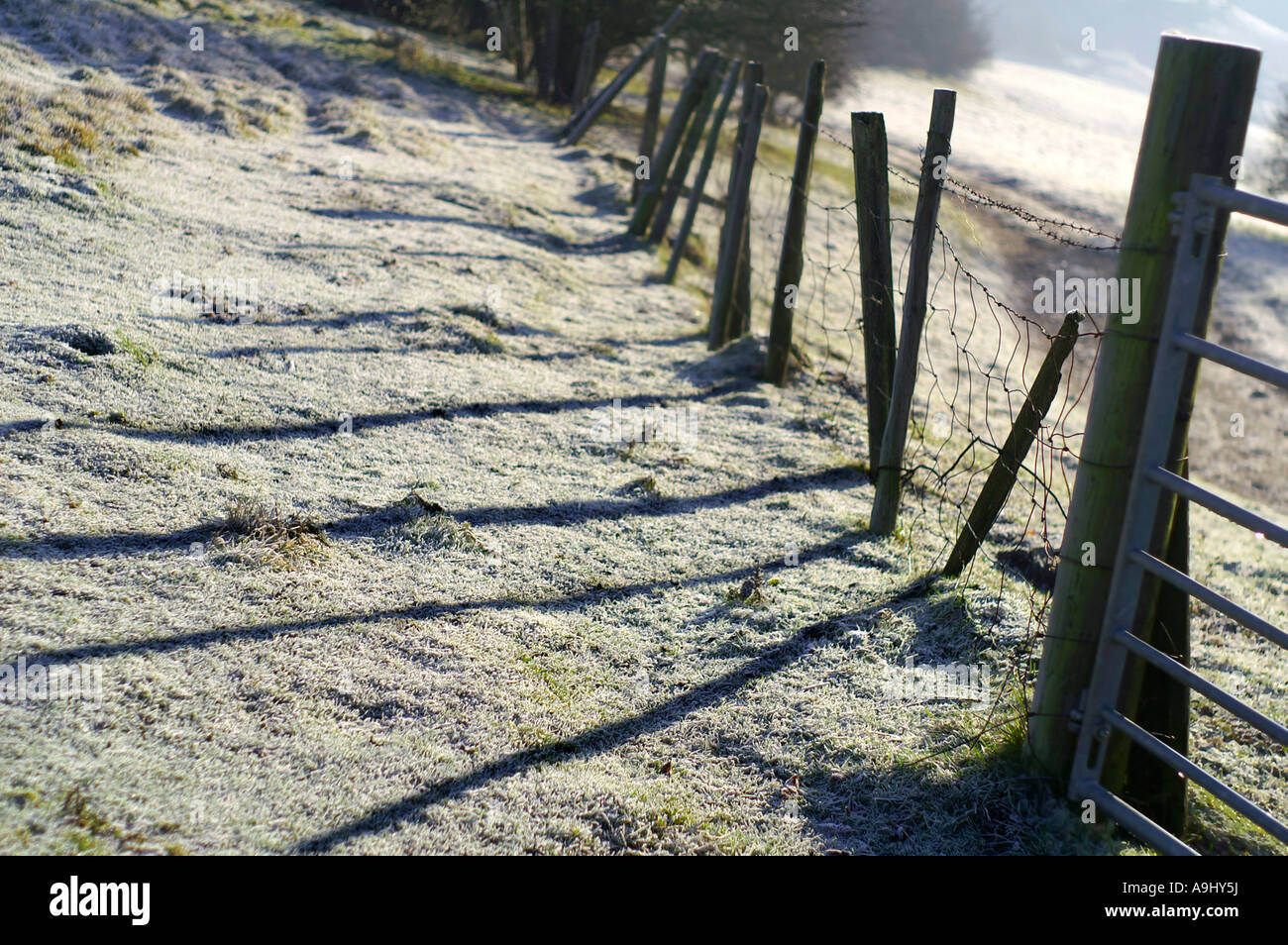 old fence on the field, English countryside Stock Photo - Alamy