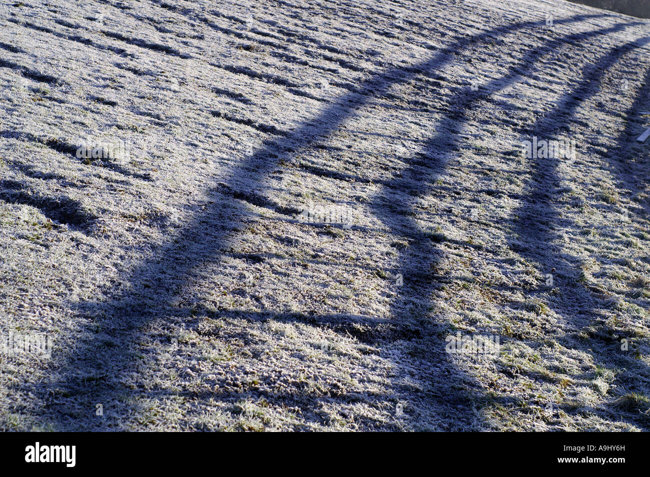 fence's shadow on the meadow covered with snow Stock Photo - Alamy