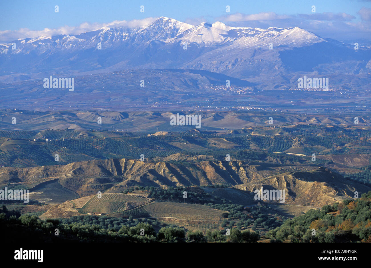 View onto the plains of Sibari and to the snow covered Pollino ...