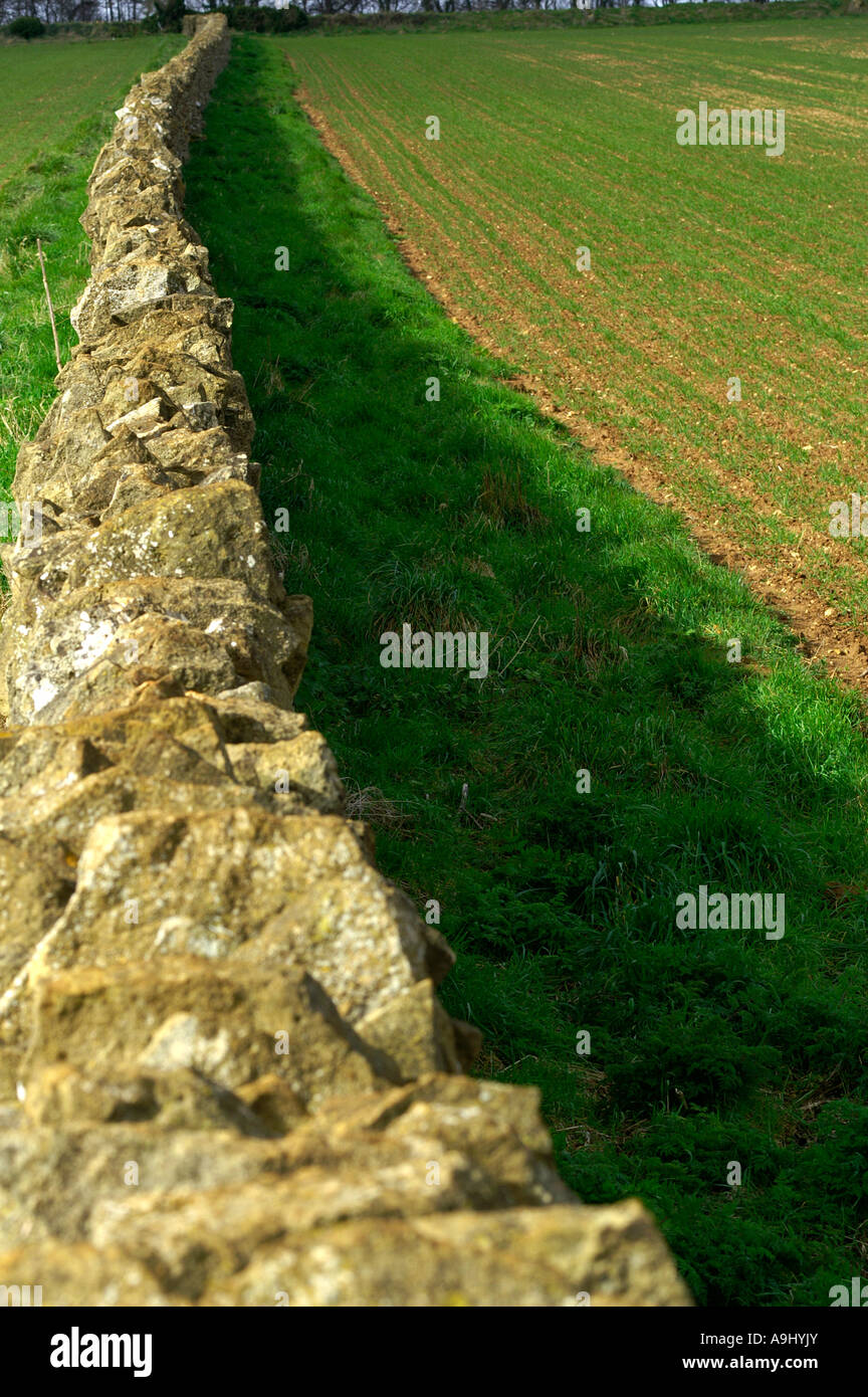 wall between two fields, Cotswolds Stock Photo - Alamy