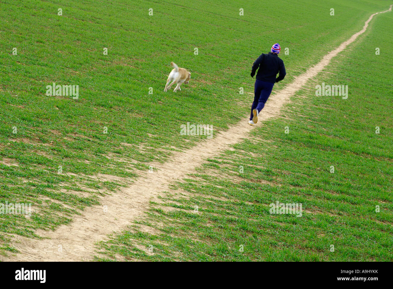 man is running with his dog on the path Stock Photo - Alamy
