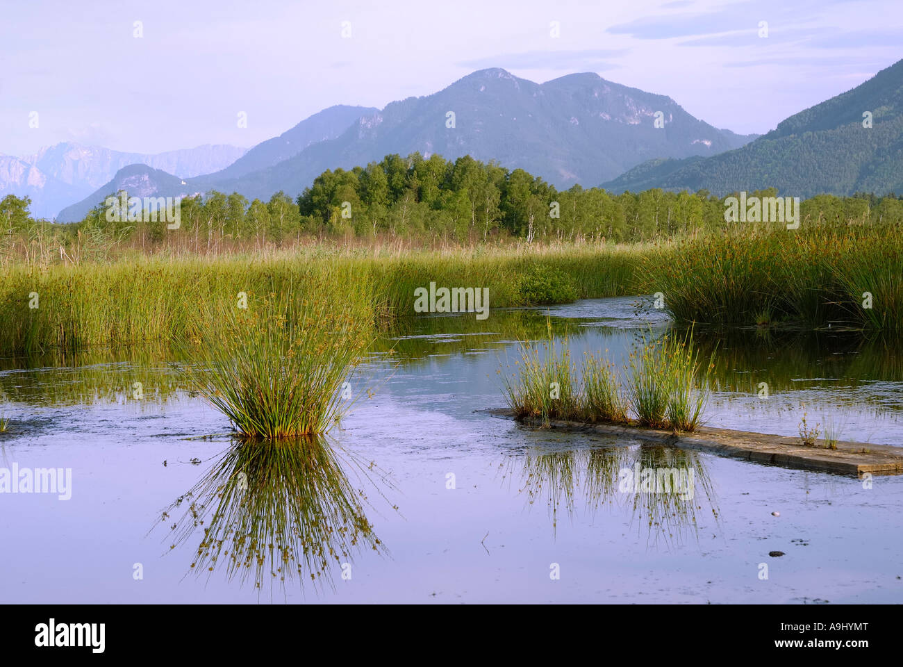 Moorabraumhalde hi-res stock photography and images - Alamy