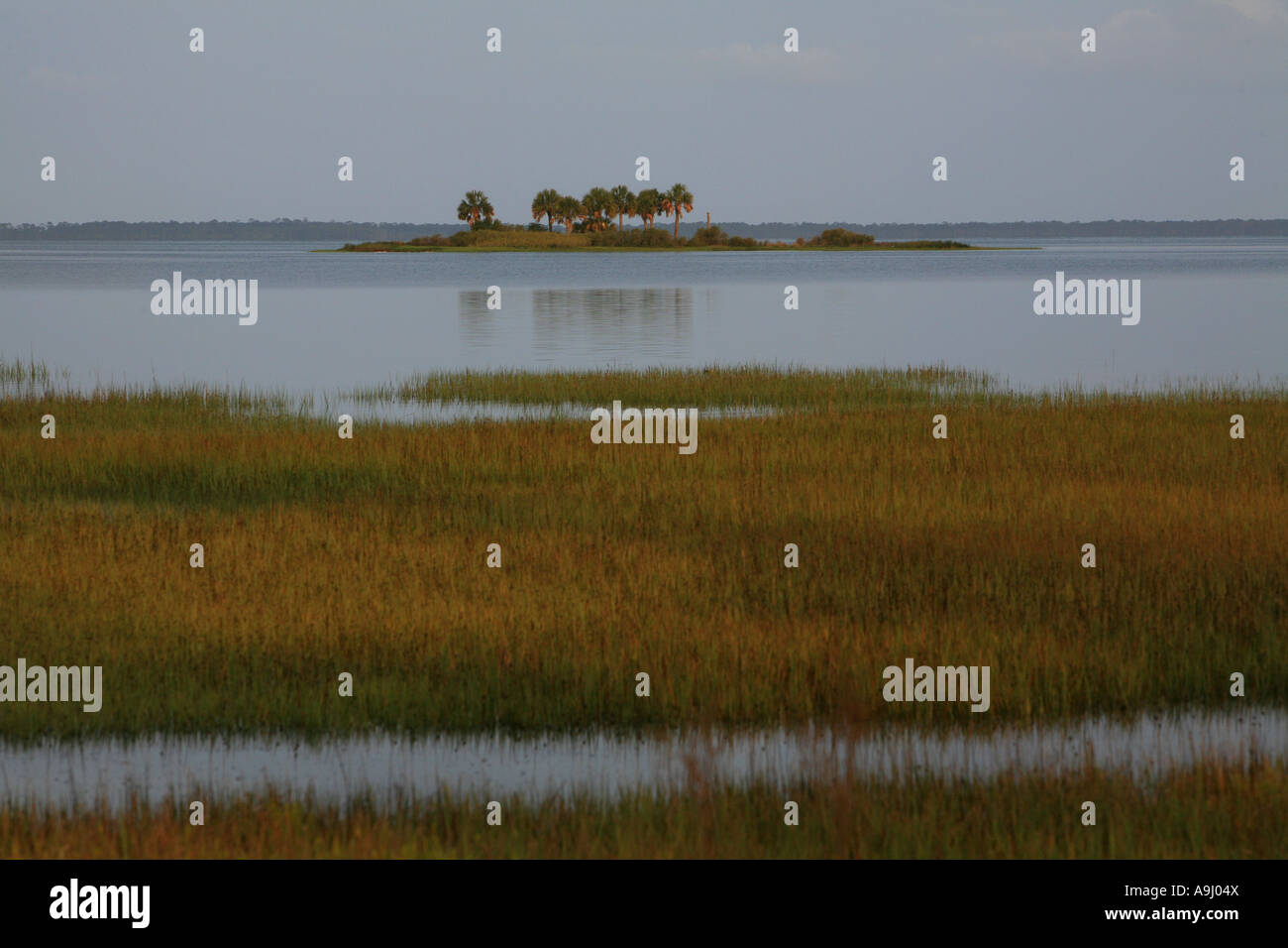 Forgotten coast hi-res stock photography and images - Alamy