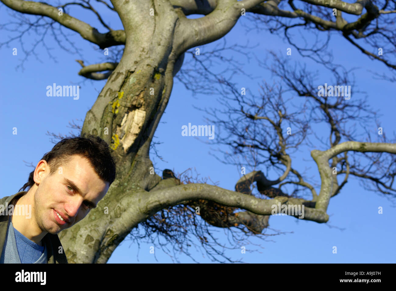 Smiling tree hi-res stock photography and images - Alamy