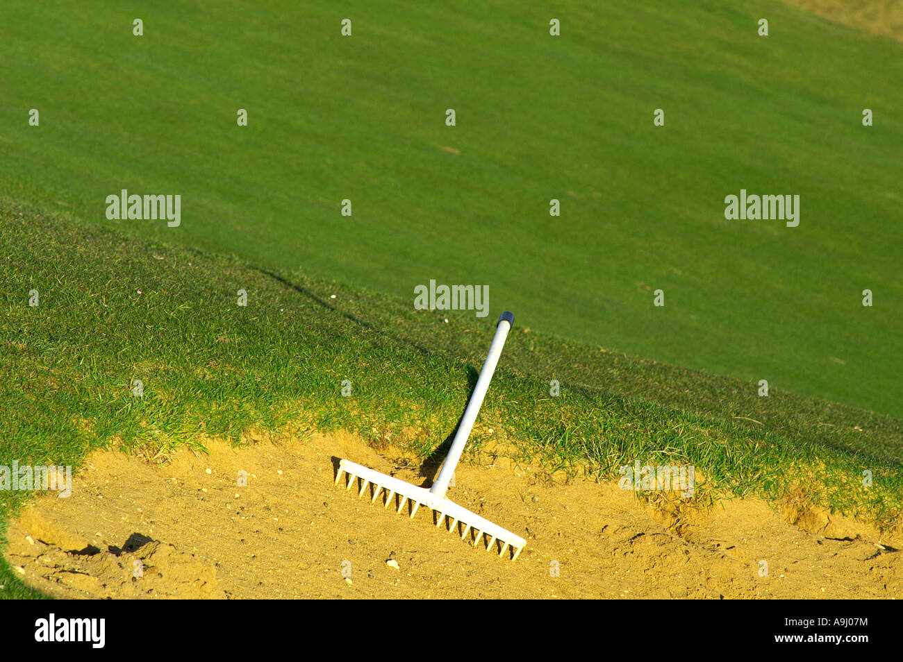 Pich field hi-res stock photography and images - Alamy