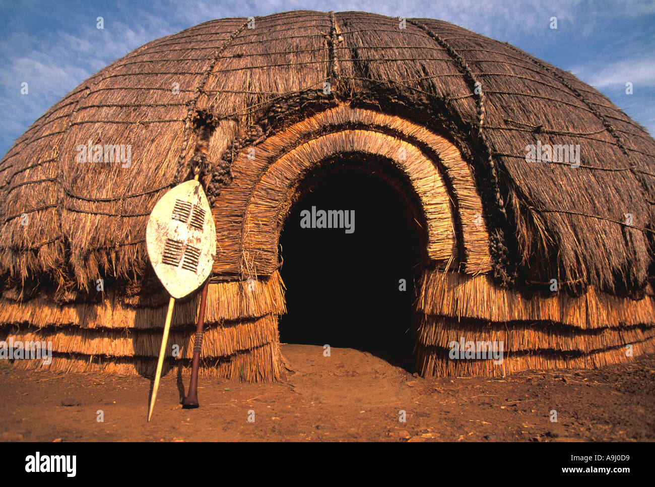 South Africa KwaZulu Natal Warrior standing next to traditional hut at ...