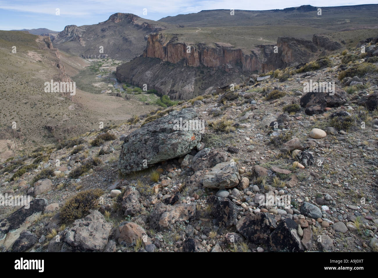 Argentina Santa Cruz Province Eroded river valley along Rio Pinturas ...