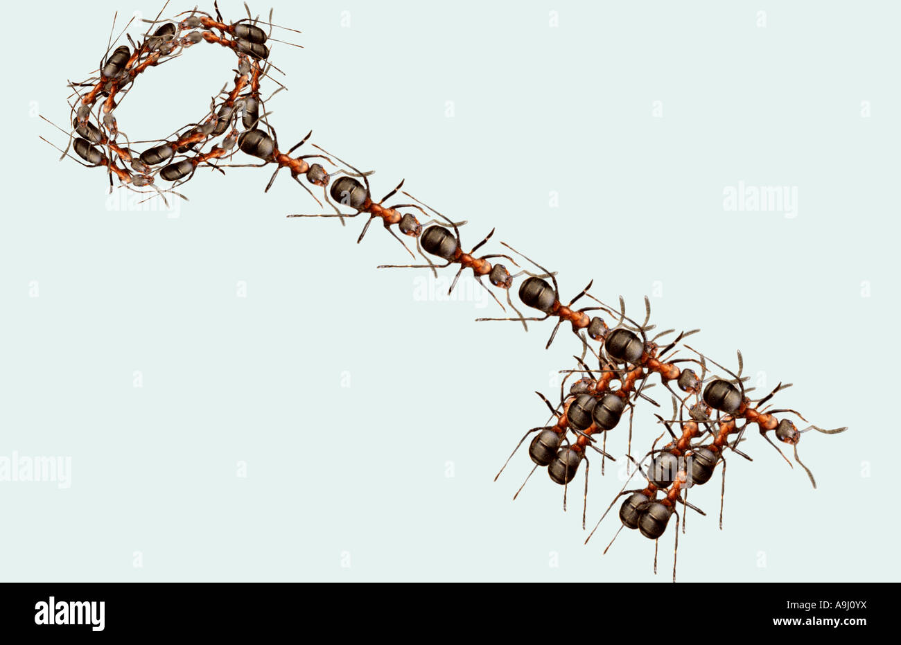 Key workers hi-res stock photography and images - Alamy