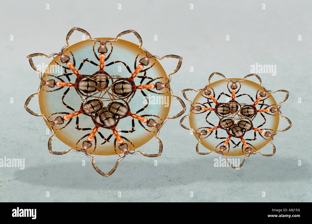 Teamwork cogs hi-res stock photography and images - Alamy