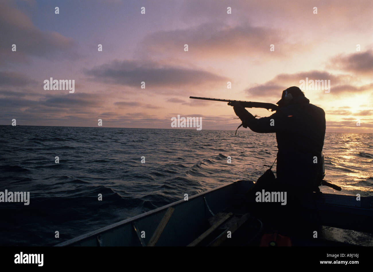 USA Alaska Yupik Eskimos Simeon Fairbanks during spring hunting trip ...