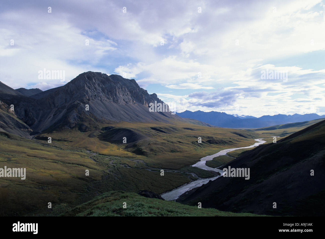 USA Alaska Arctic National Wildlife Refuge Atigun River Canyon winds ...