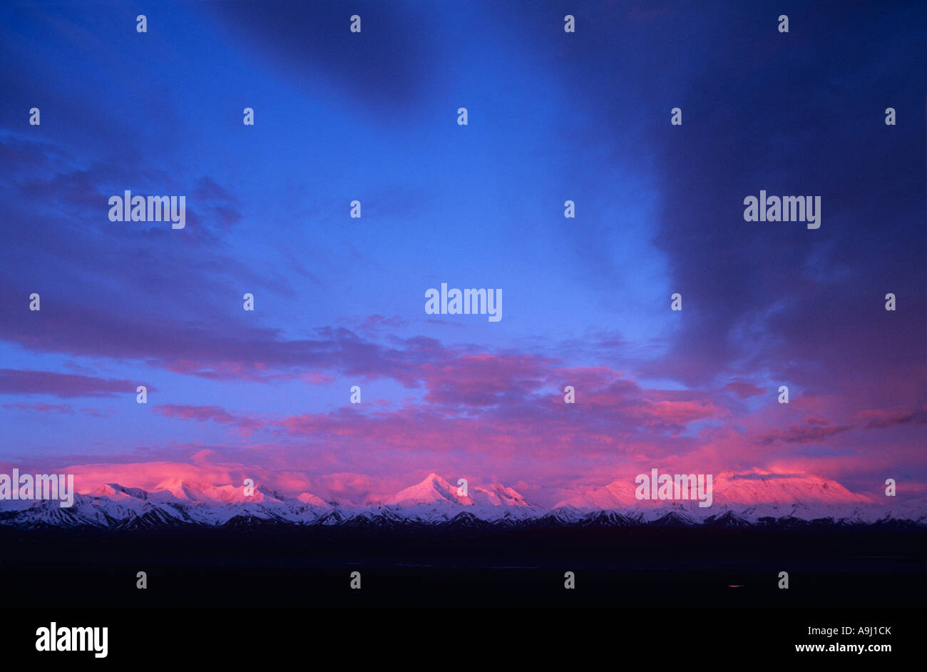 USA Alaska Denali National Park Morning alpenglow lights Alaska Range ...