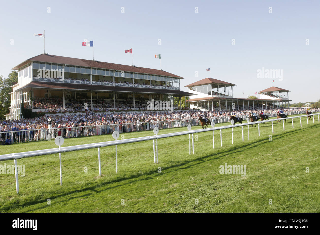 Racecourse and Horse Race, Germany, Baden-Wuerttemberg Stock Photo - Alamy