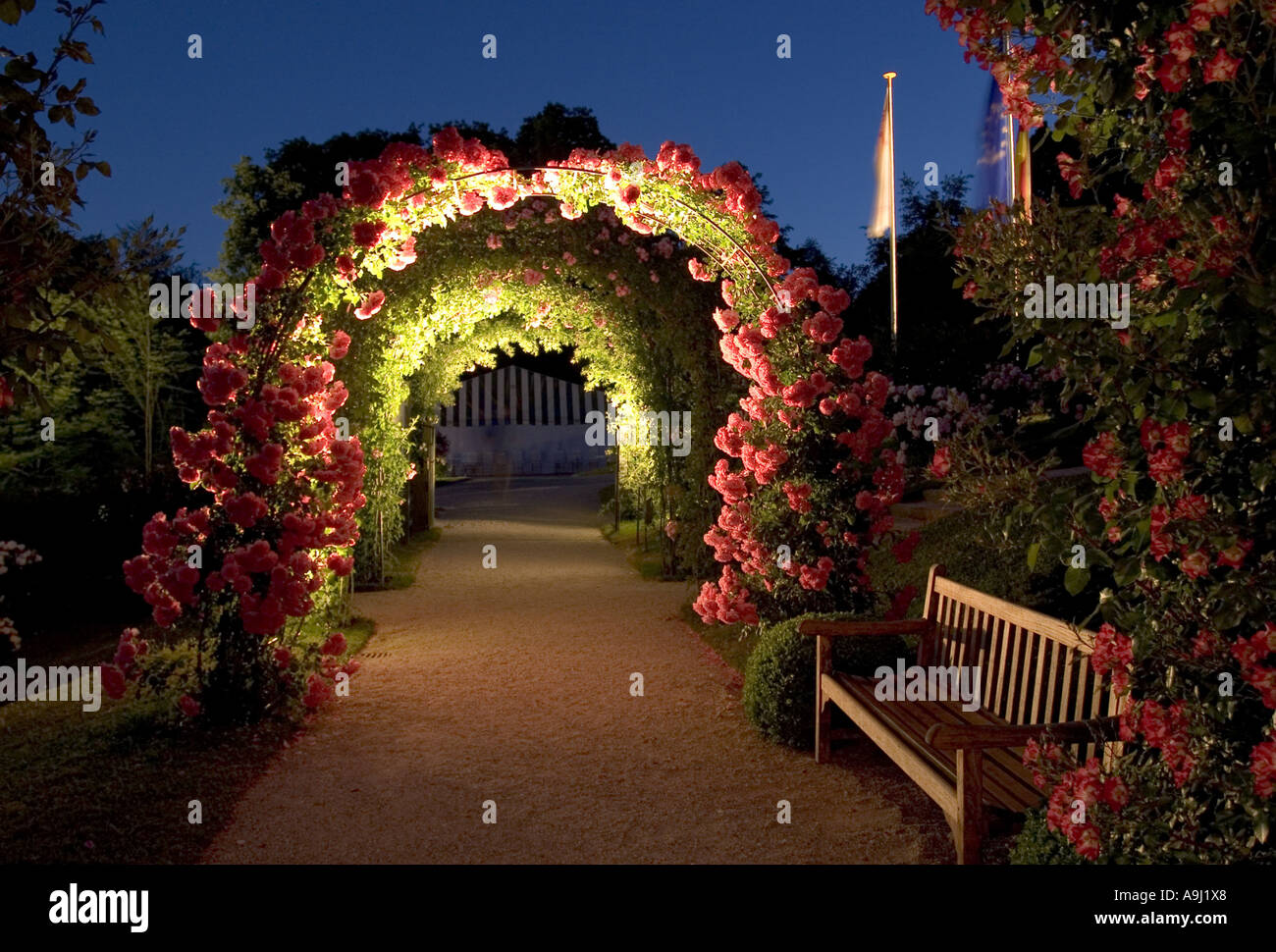 rose (Rosa spec.), Rose trial garden Beutig at night lighting of the ...