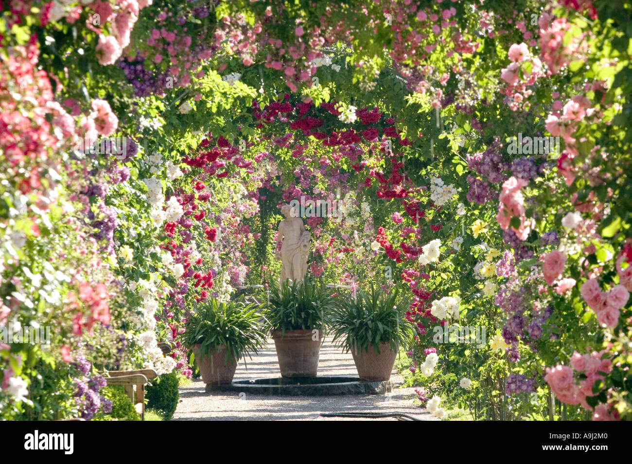rose (Rosa spec.), Rose trial garden Beutig, the rose elbows, Germany ...