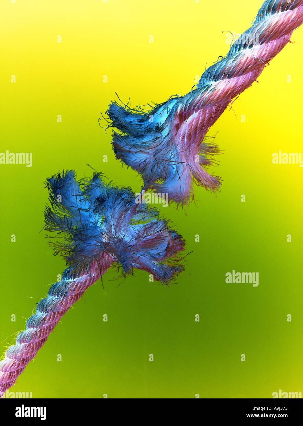 Frayed appearance hi-res stock photography and images - Alamy